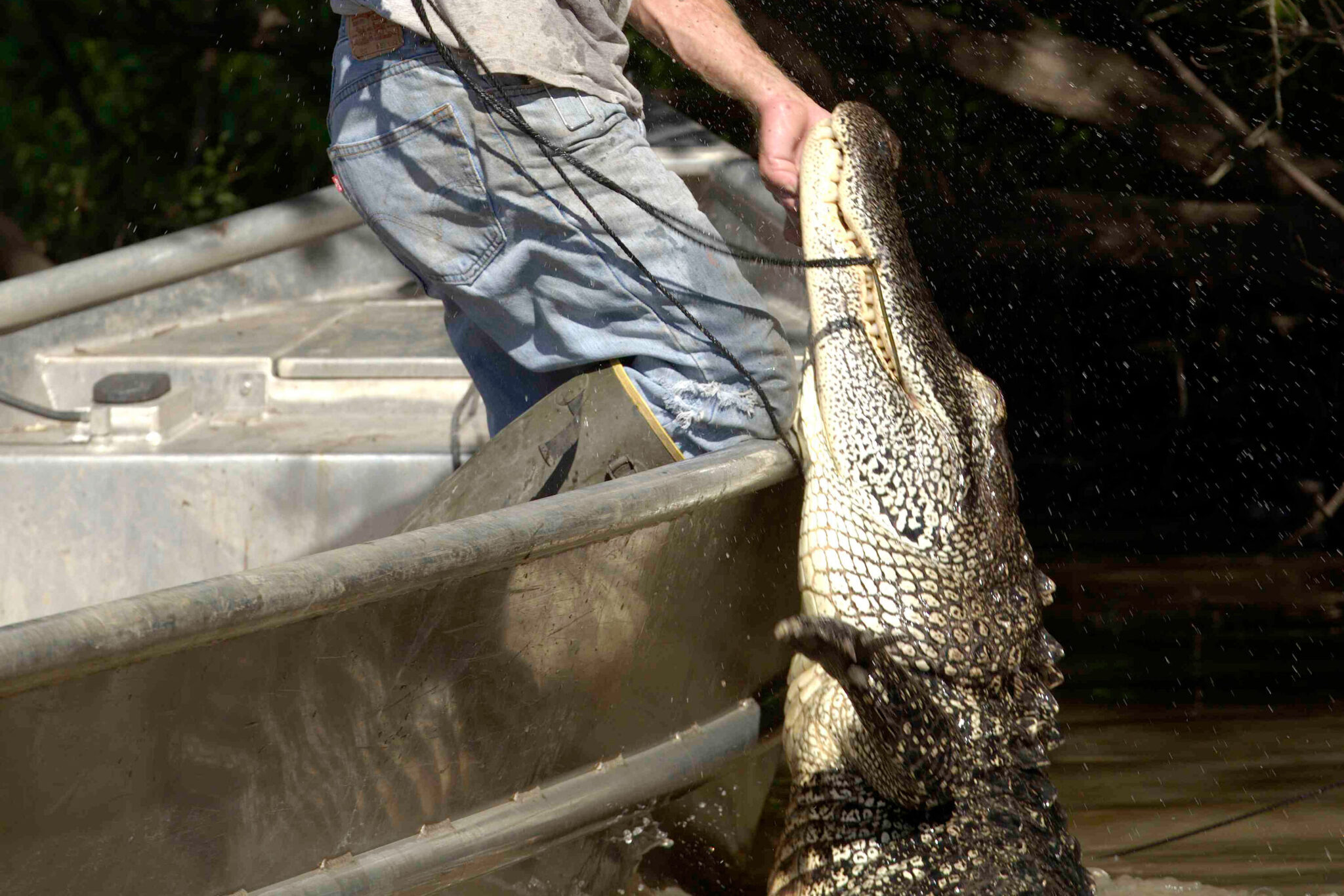 12 Untold Secrets Behind the Show ‘Swamp People’